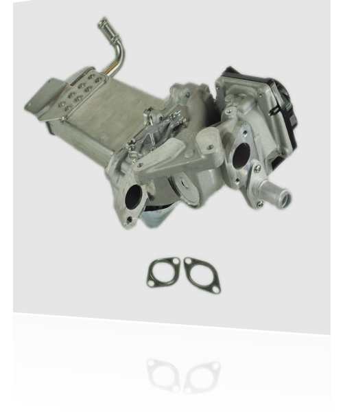 VW Amarok EGR Valve Problems Resolved Download Repair Manual VW Amarok EGR Valve Problems Resolved Download Repair Manual